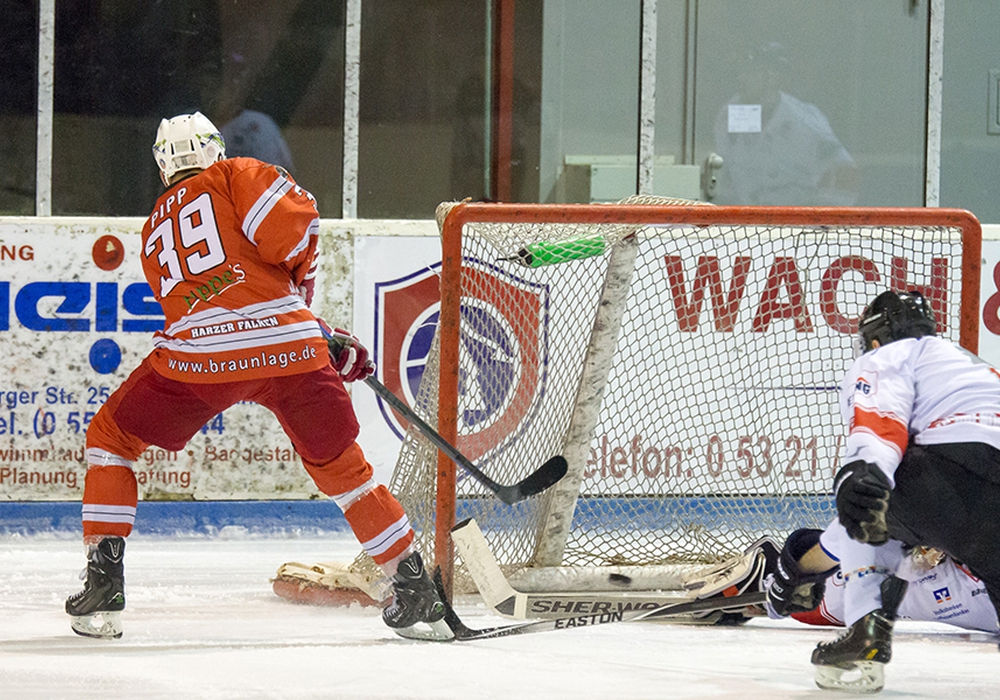 Falken-Urgesteine bleiben: Pipp und Schock verlängern | regionalHeute.de