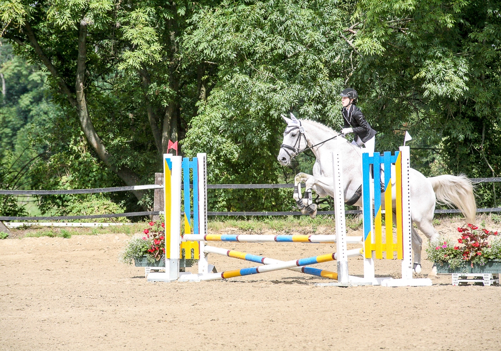 Springturnier in Halchter: Sonntag wird die Kreismeisterschaft ...