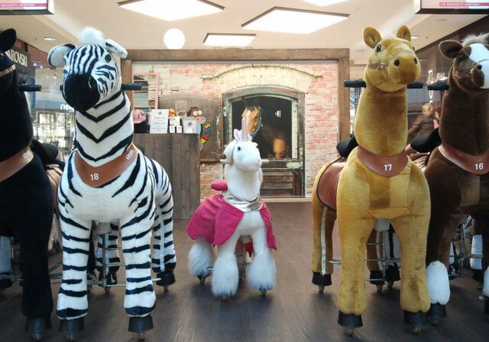 Die Inline Ponys kommen ins Forum | regionalHeute.de