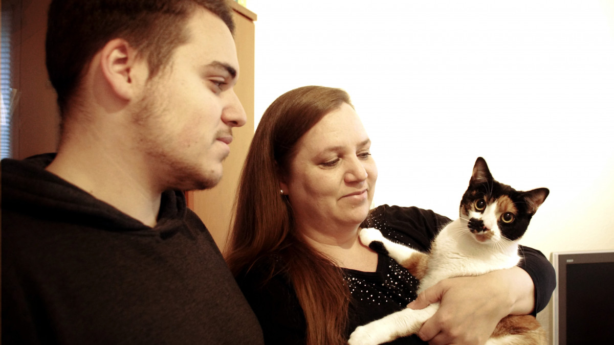 Katze Lilly angeschossen - Familie kämpft um ihre Gesundheit ...