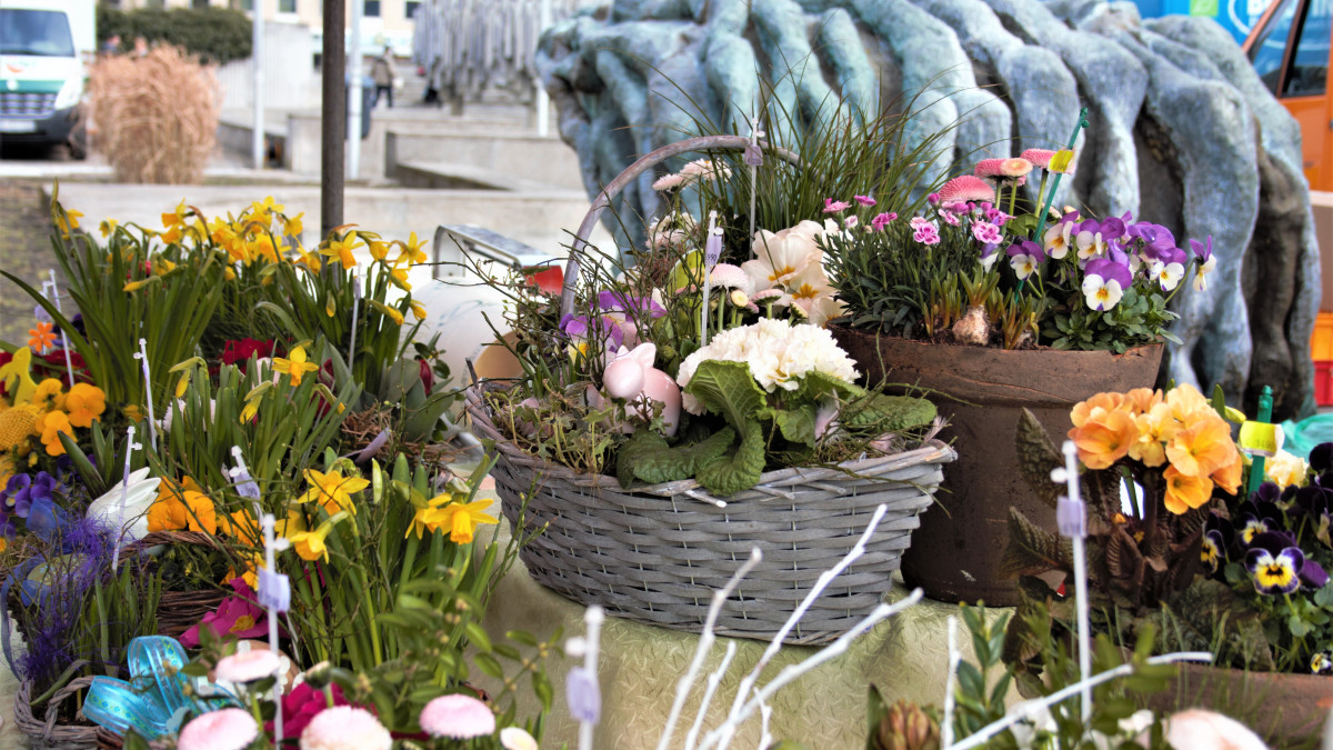Frühlingsfest auf dem Rathausmarkt | regionalHeute.de
