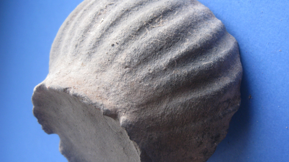 Gröpern: Archäologe präsentiert weitere Bilder der Funde | regionalHeute.de