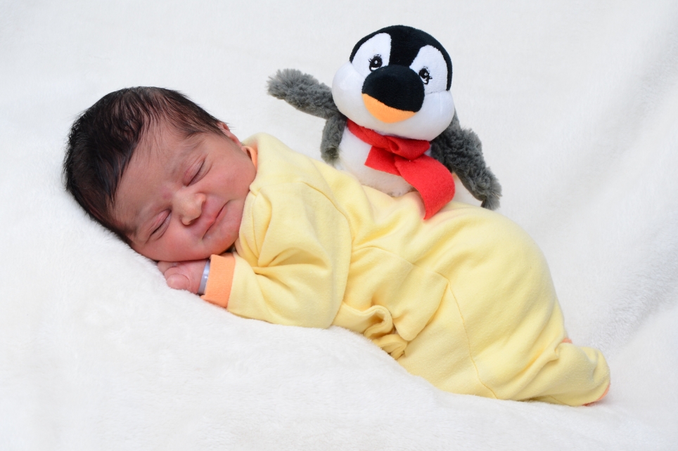 Willkommen: Ali Yakup Akbulut | regionalHeute.de