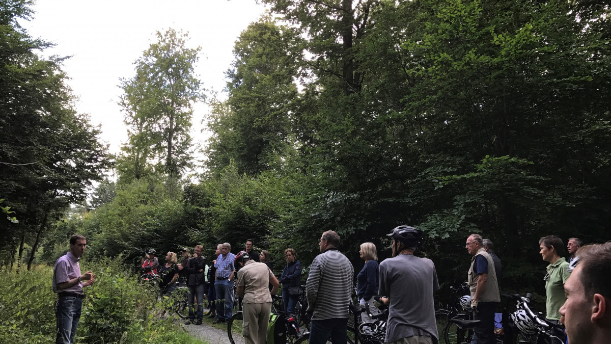 Artenvielfalt im Naturschutzgebiet Barnstorfer Wald | regionalHeute.de