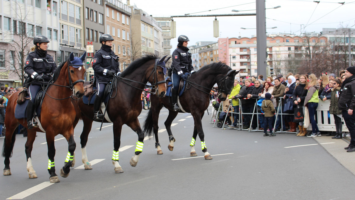 Berittene Polizei - Das macht die Reiterstaffel | regionalHeute.de