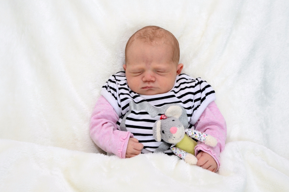 Willkommen: Elisa Sofie Nehlich | regionalHeute.de