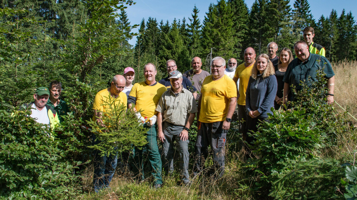 Unterstützung für den Waldwandel: Postler packen an | regionalHeute.de