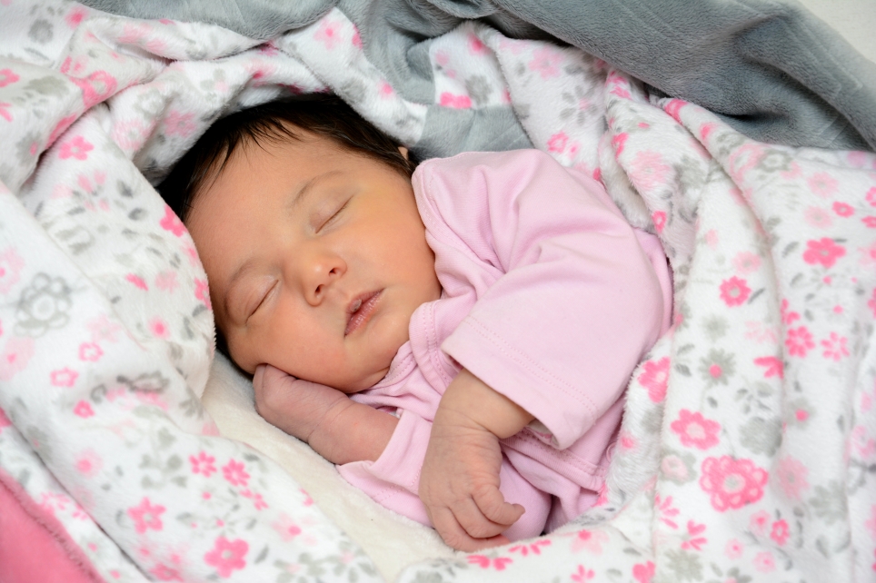 Willkommen: Stacy Jolie Schulz | regionalHeute.de