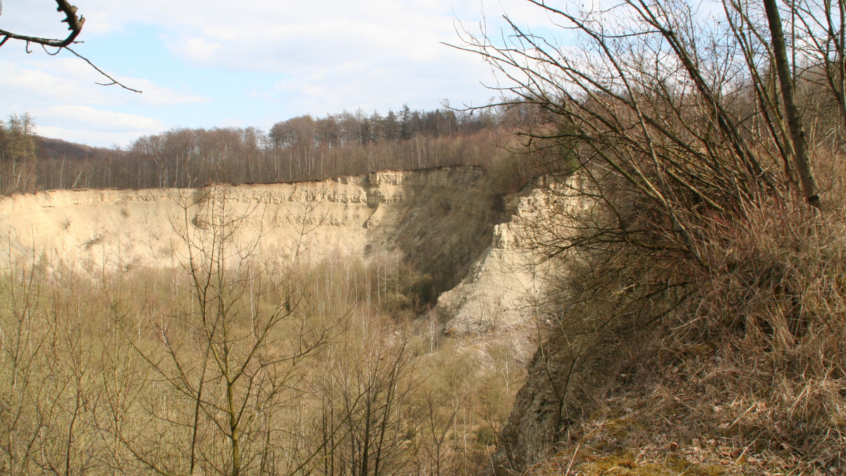 Der Elm: Geographie, Geomorphologie und Geologie | regionalHeute.de