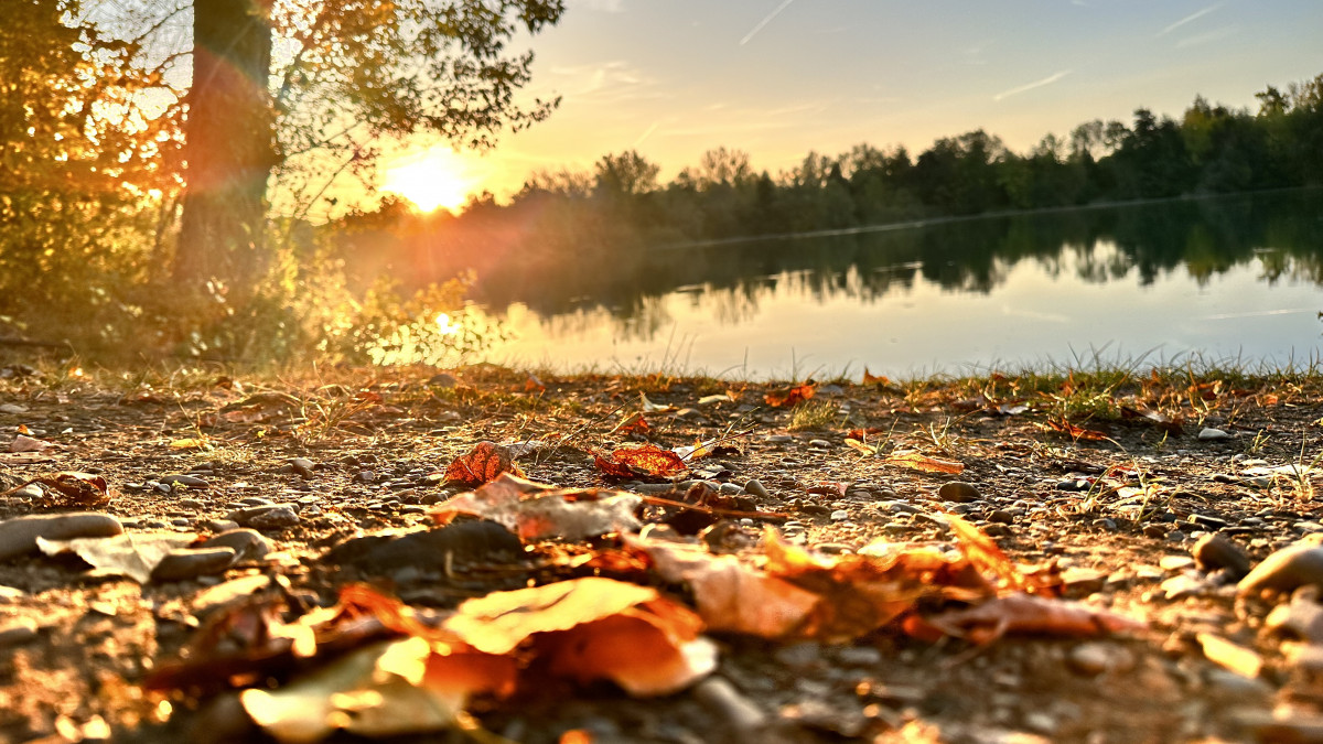 Der goldene Herbst: Ein Fest für die Sinne | regionalHeute.de