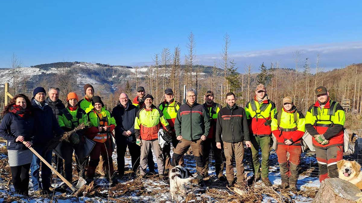 Bad Harzburg: Neuer Eichenwald - Unterstützung für das Forstamt | regionalHeute.de