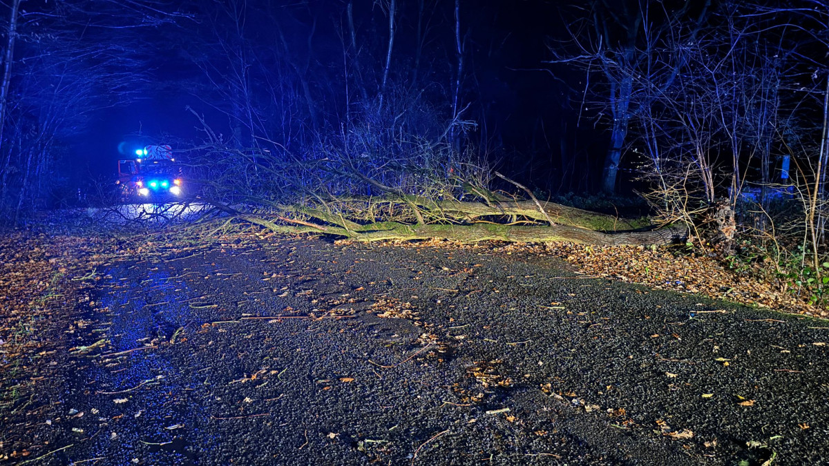 Sturmtief Telse sorgt für etliche Einsätze im Landkreis Helmstedt ...