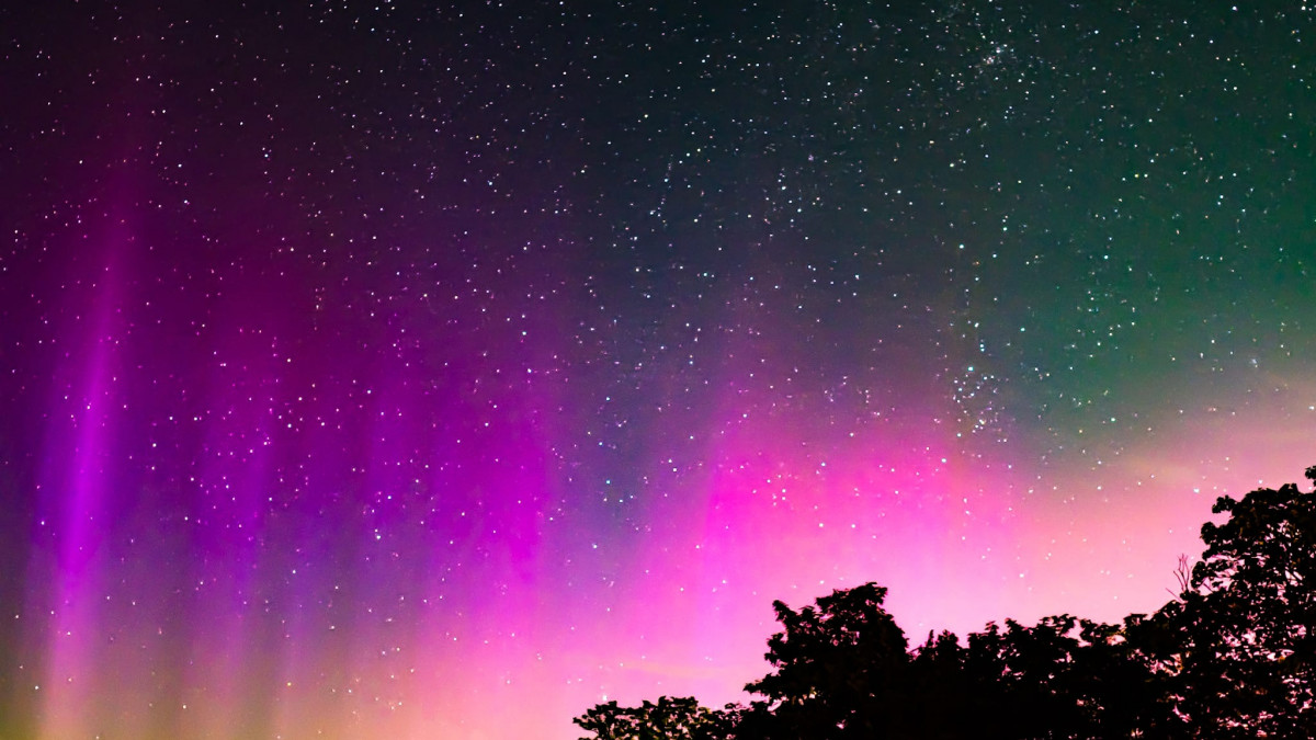 Giulia zangrilli nude pics found Arianas touring msp,