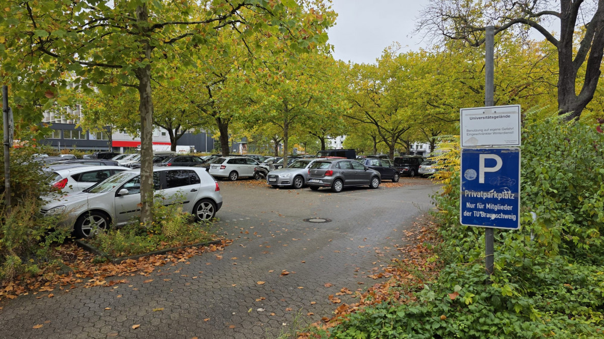Parken An Der Waldbhne Berlin