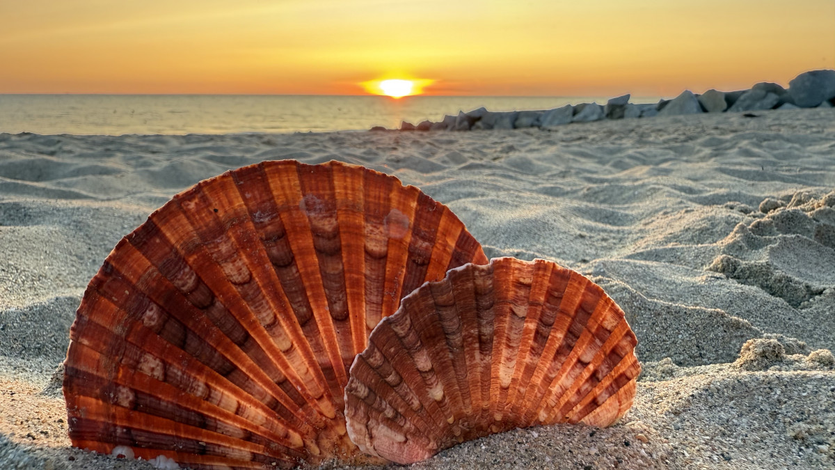 Fernweh: So findet man die besten Urlaubsangebote | regionalHeute.de